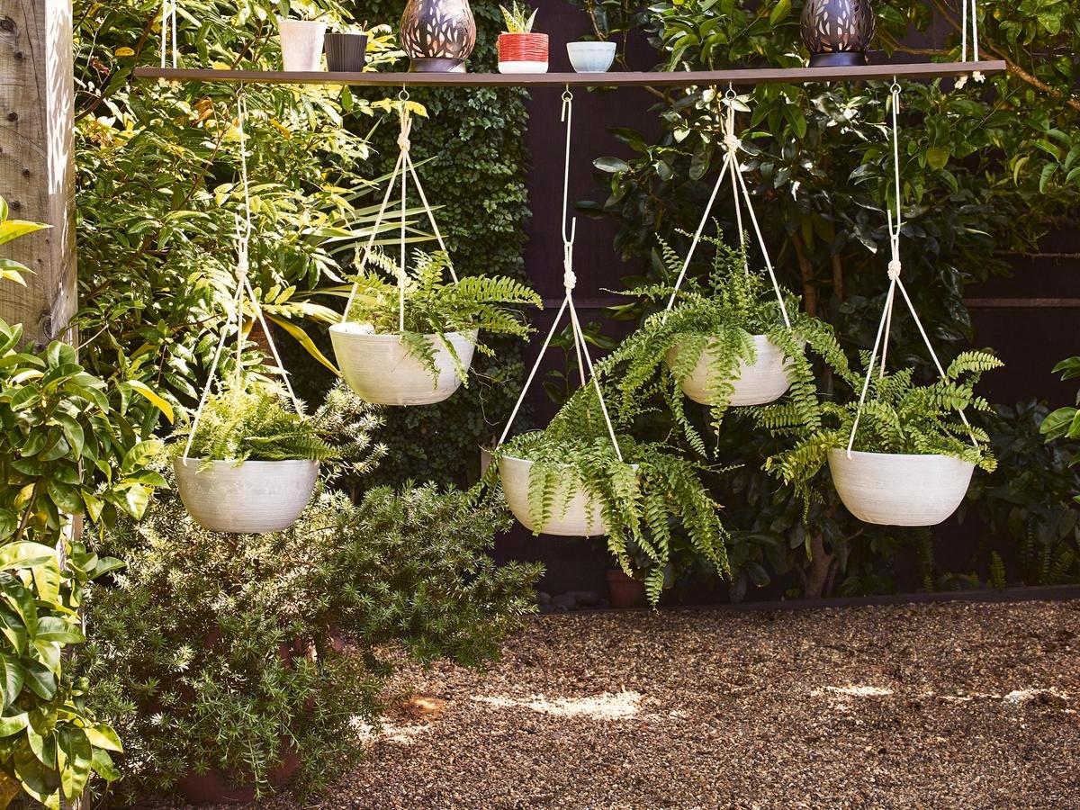 Hanging plants bunnings store
