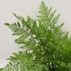 Artificial Plant - Rabbits Foot Fern - 35cm - Bunnings Australia