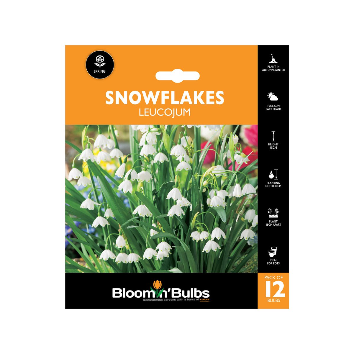 Bloomin Bulbs Snowflakes - Leucojum vernum - 12 Pack - Bunnings Australia
