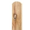 68 x 19mm 1.2m Cypress Pine Dar Round Picket - Bunnings Australia