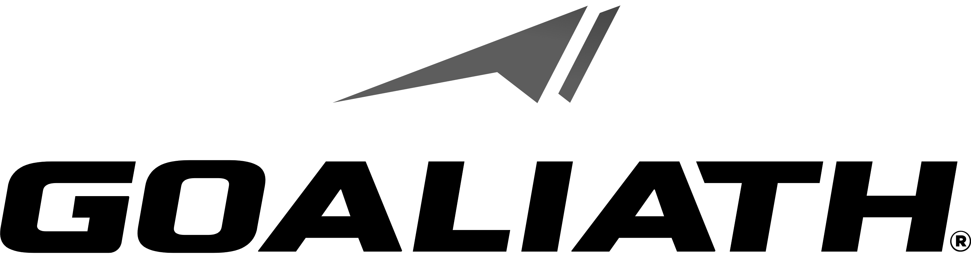 Goaliath - Bunnings Australia