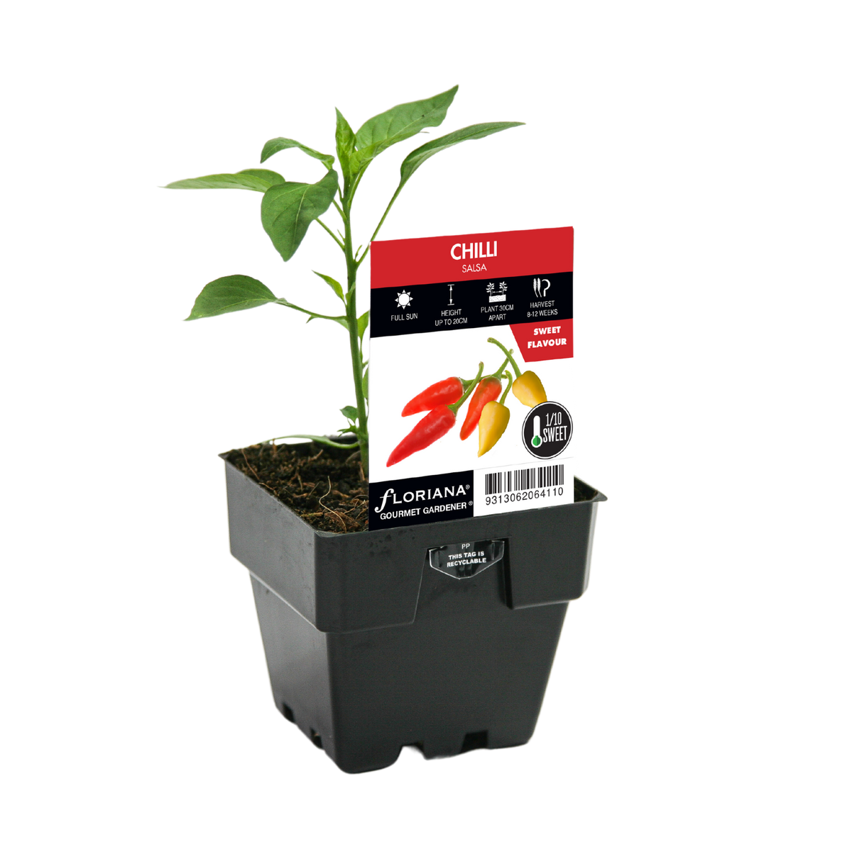 100mm Chilli Salsa - Capsicum annuum - Bunnings Australia