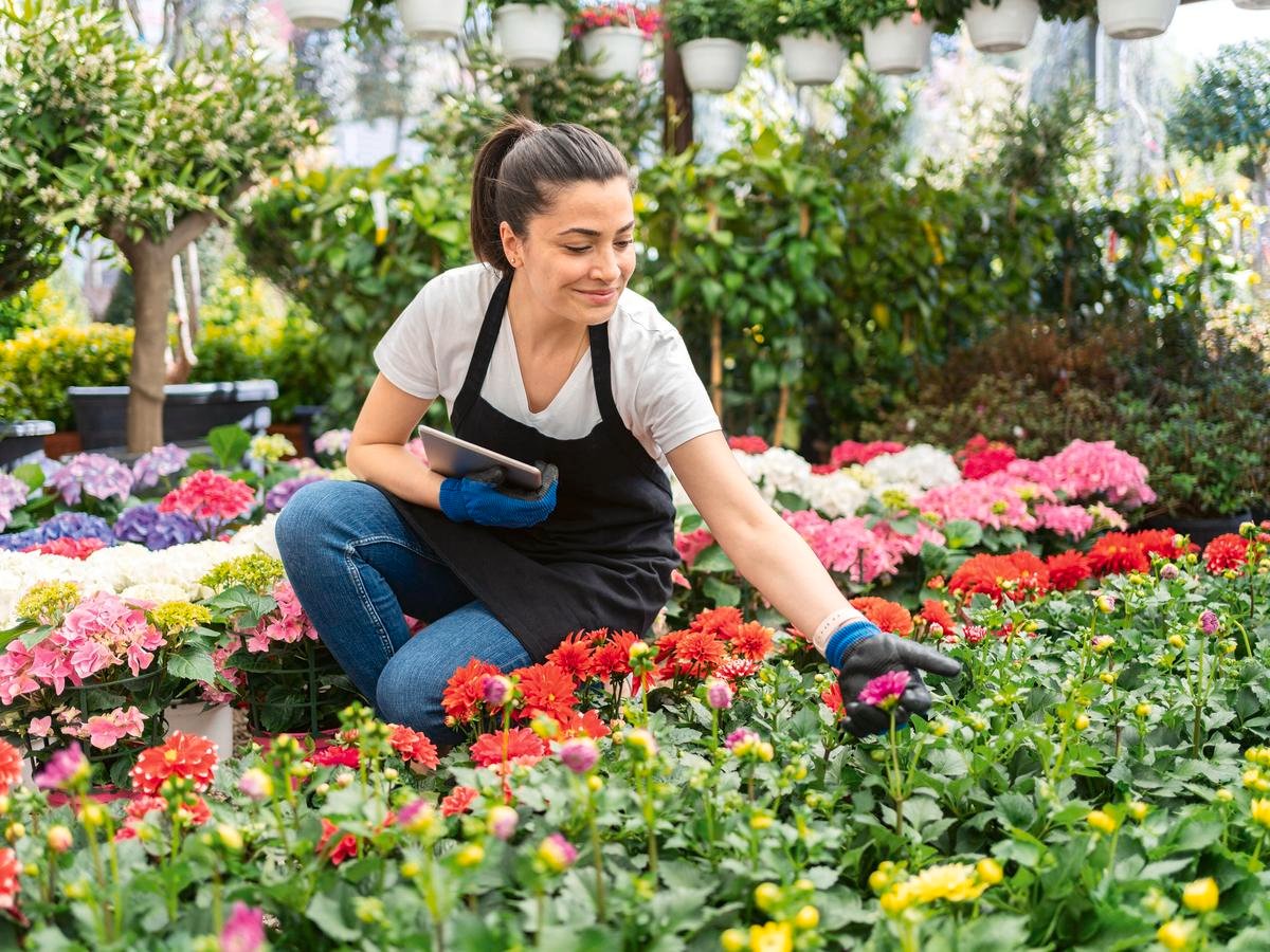 Five Ways To Enhance Your Garden With Potted Plants - Bunnings Australia