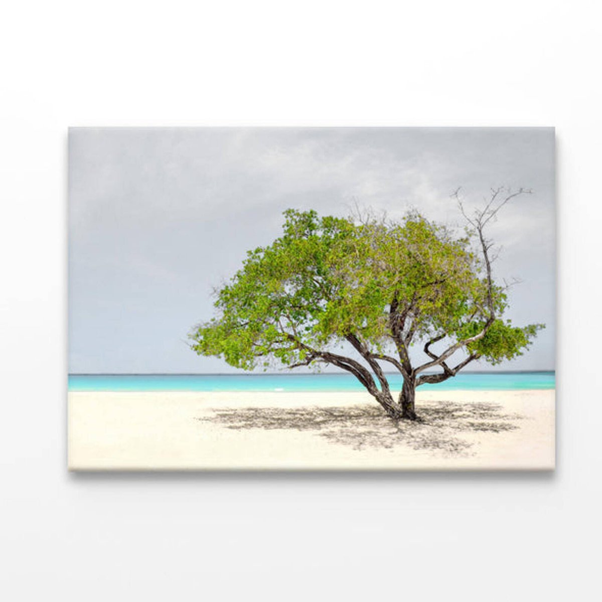 Tree In Beach Print 100% Australian Made 90 x 60cm (Acrylic) - Bunnings ...