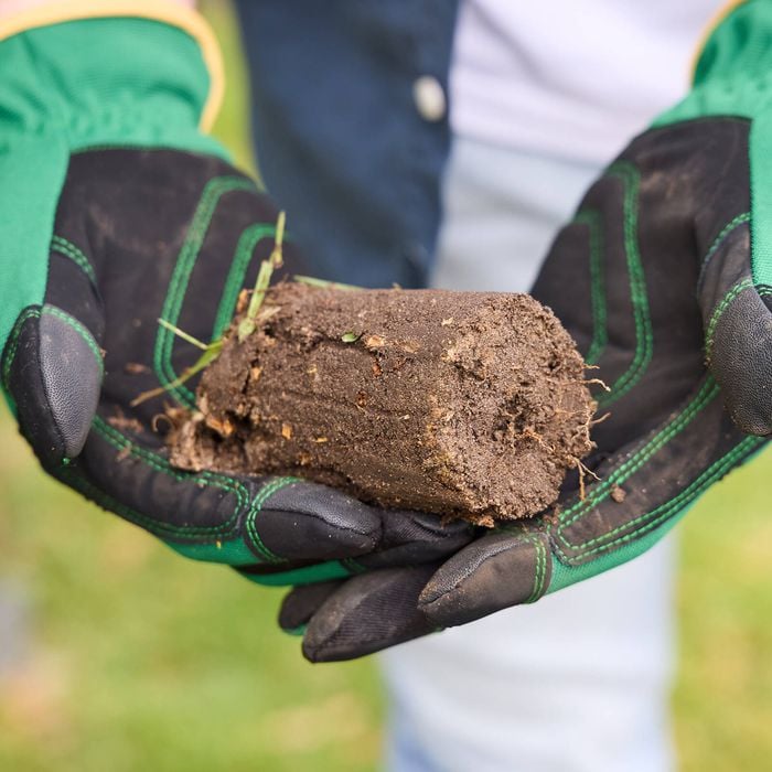 Cyclone Soil and Lawn Plugger - Bunnings Australia
