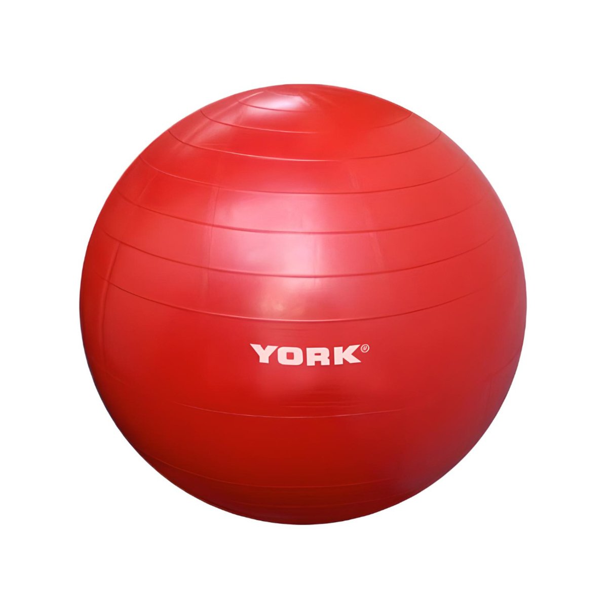 York Gym Ball 55cm Single - Bunnings Australia
