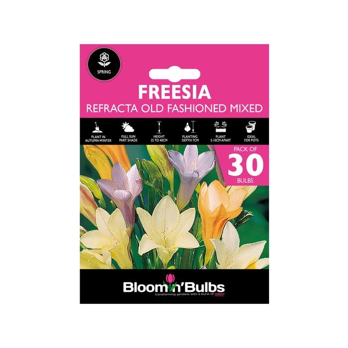 Bloomin Bulbs Freesia Refracta Old Fashioned Mixed - 30 Pack - Bunnings ...
