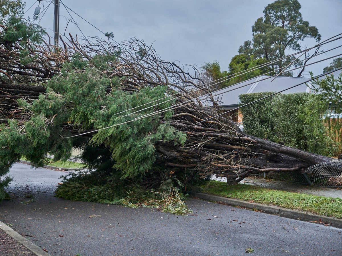 How To Clean Up After A Storm Or Cyclone - Bunnings Australia
