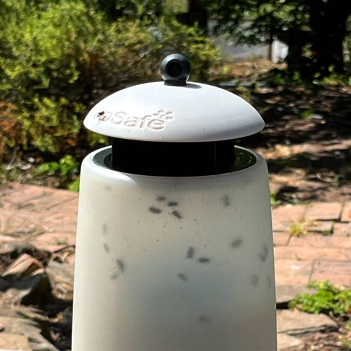 EnviroSafe Alfresco Fly Trap - Bunnings Australia