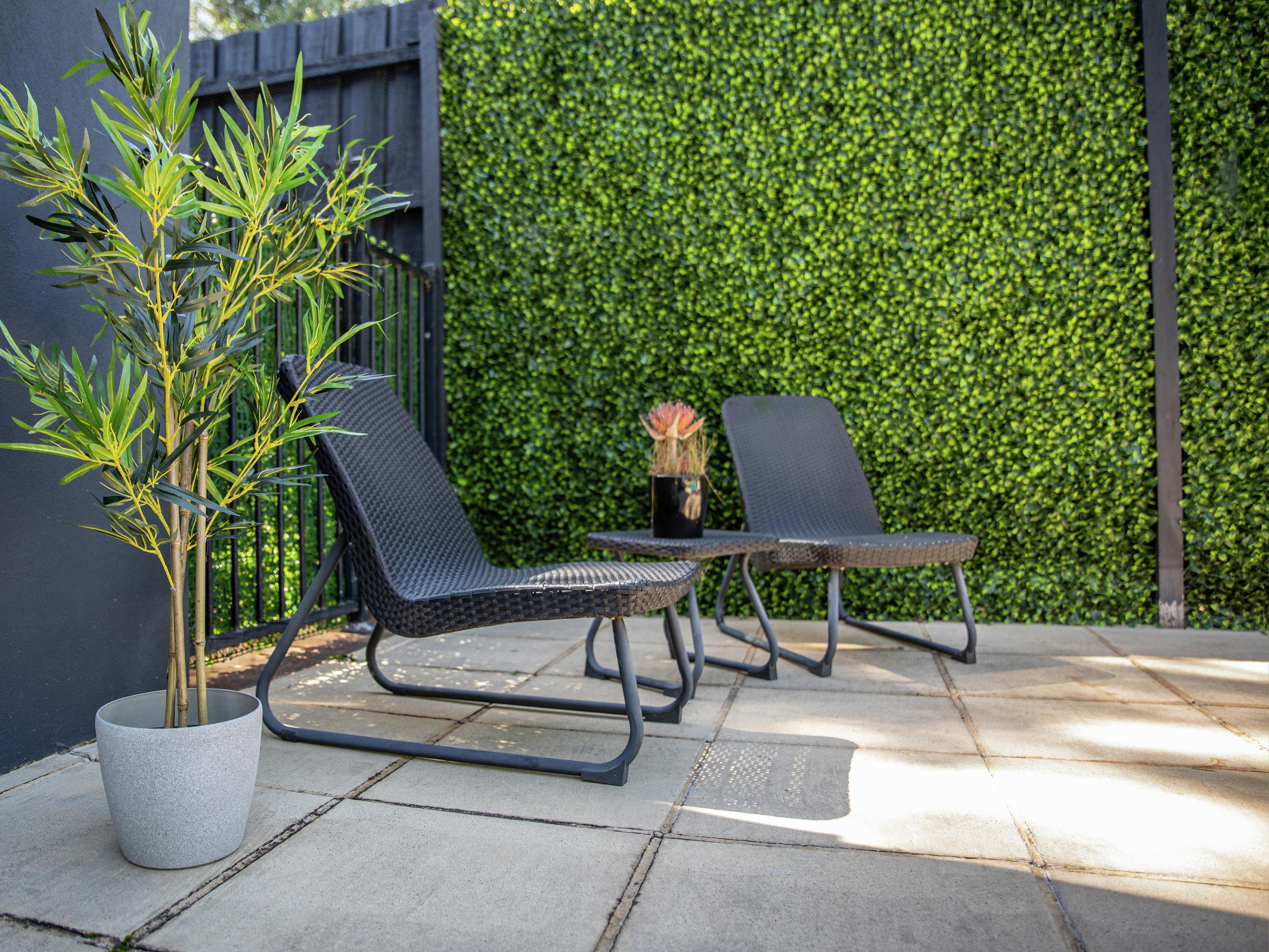 UN REAL Hedge Plants Bunnings Australia