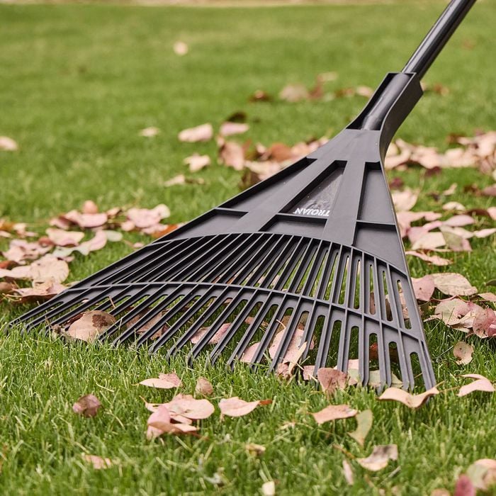 Trojan 500mm Leaf Rake Steel Handle - Bunnings Australia