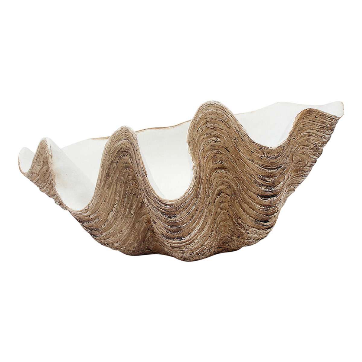 LVD Decorative 38cm Resin Clam Shell/Trinket Decor Large - Dark ...