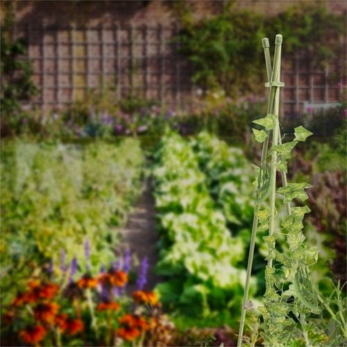 Jack 1200mm Tripod Garden Stake Set - Bunnings New Zealand