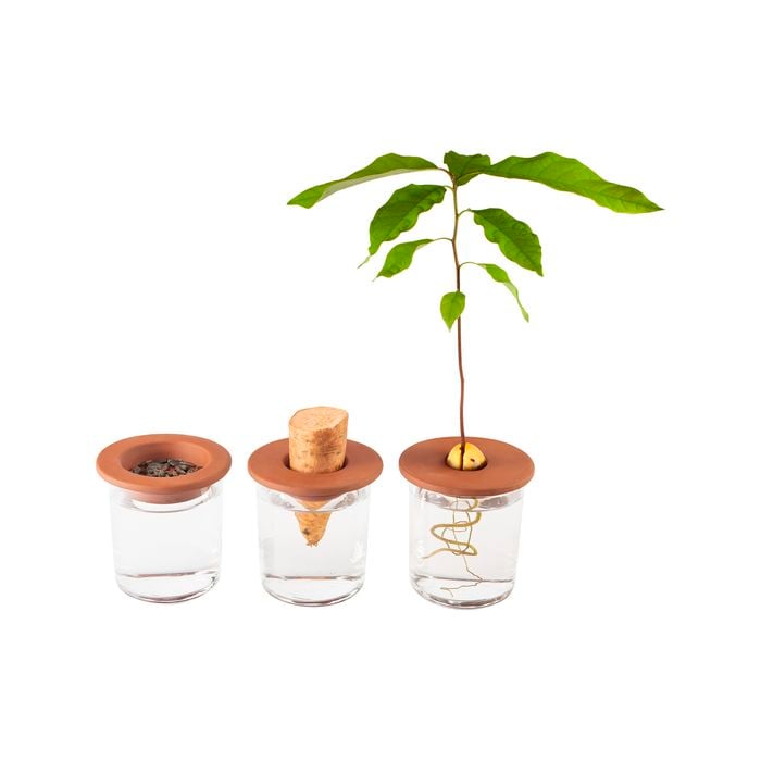 Seed Propagation Kit 3 Pack - Bunnings Australia