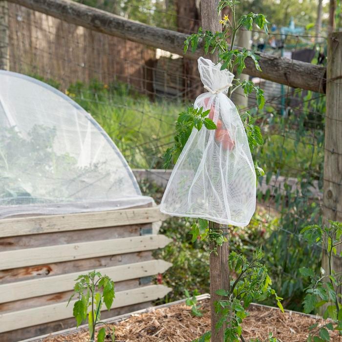 Cyclone 4 x 10m x 5mm Backyard Farmer Anti Bird Net - Bunnings New Zealand