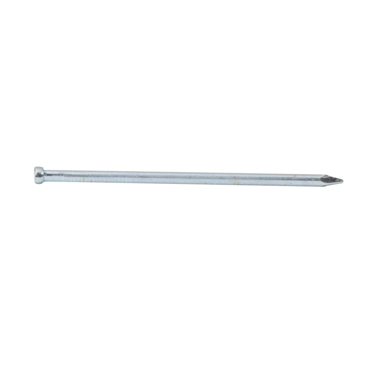 NZ Nails Plated Panel Pin 30x1.60mm 250g Zinc Plated - Bunnings New Zealand