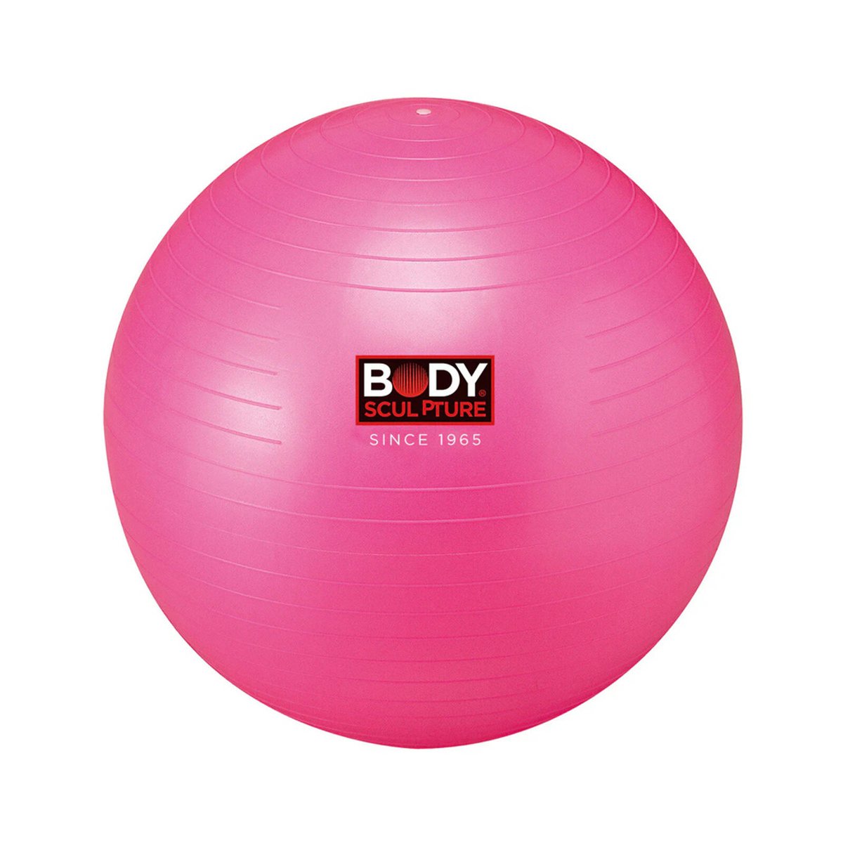Body Sculpture Anti-Burst Gym Ball Fitness/Training 55cm - Pink ...