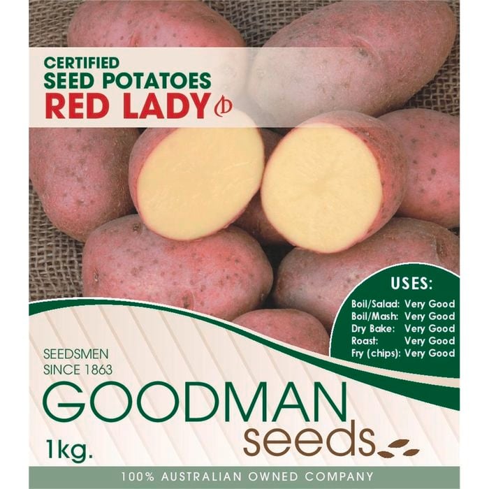 Goodman Seeds 1kg Red Lady Seed Potato - Solanum tuberosum - Bunnings ...
