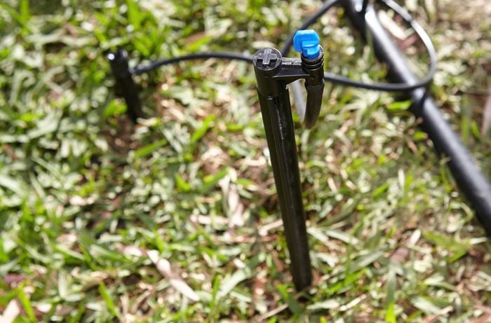 Installing Irrigation Sprayers And Drippers - Bunnings Australia