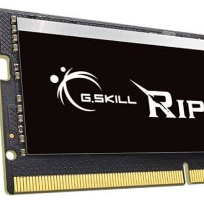 G.Skill Ripjaws 16GB (1x16GB) DDR5-4800 SODIMM Memory [F5 ...
