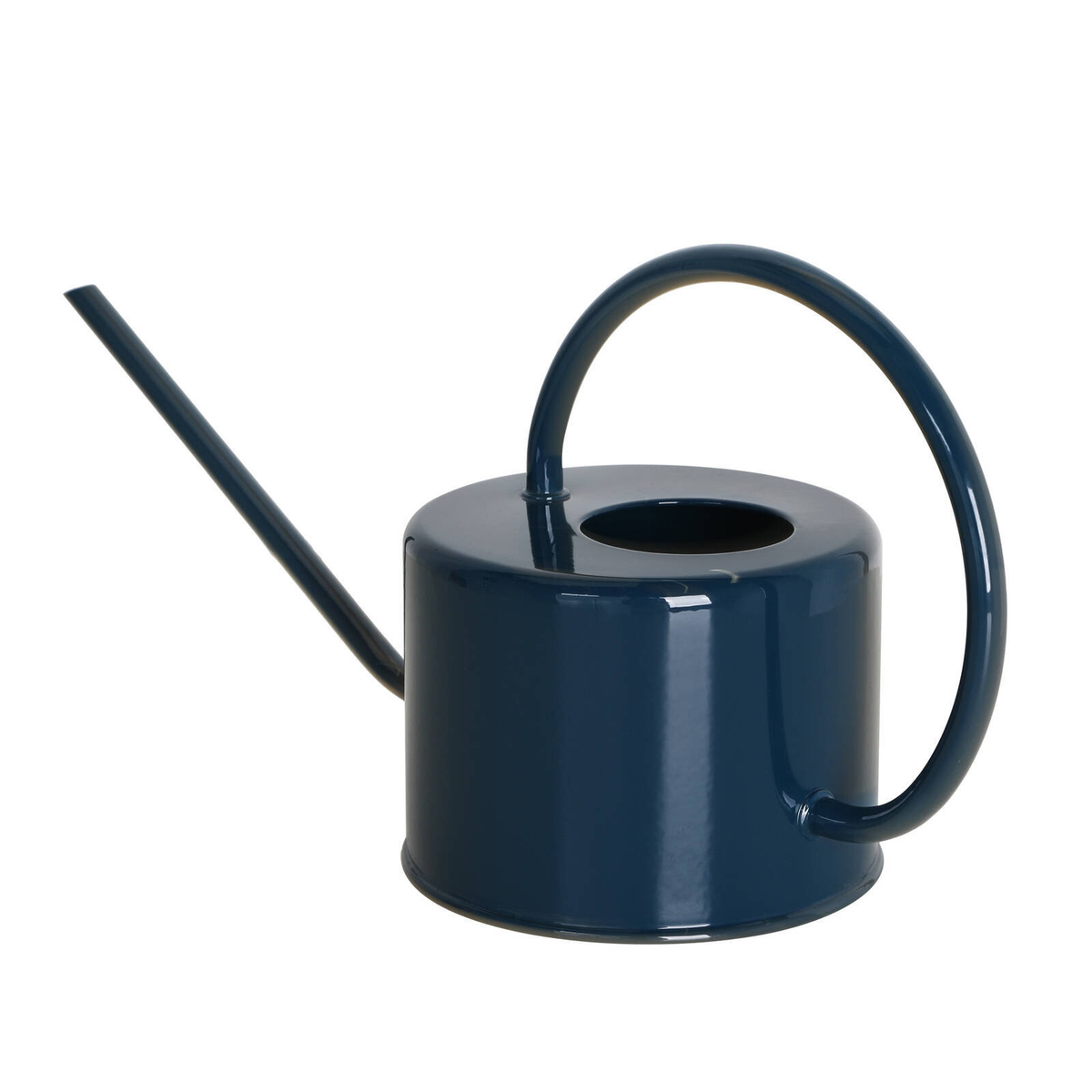 Rapid 365 x 175 x 130mm 1L Ocean Blue Willow Steel Watering Can ...