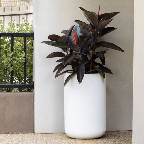 Tuscan Path 42cm White Gavin Cylinder - Bunnings Australia
