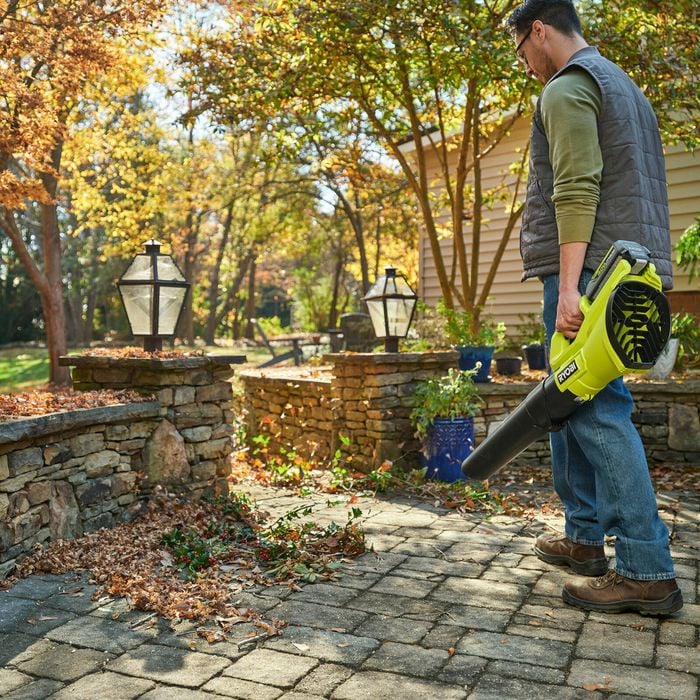 Ryobi 36V 550CFM Jet Blower 4.0Ah Kit R36BLW54 - Bunnings Australia