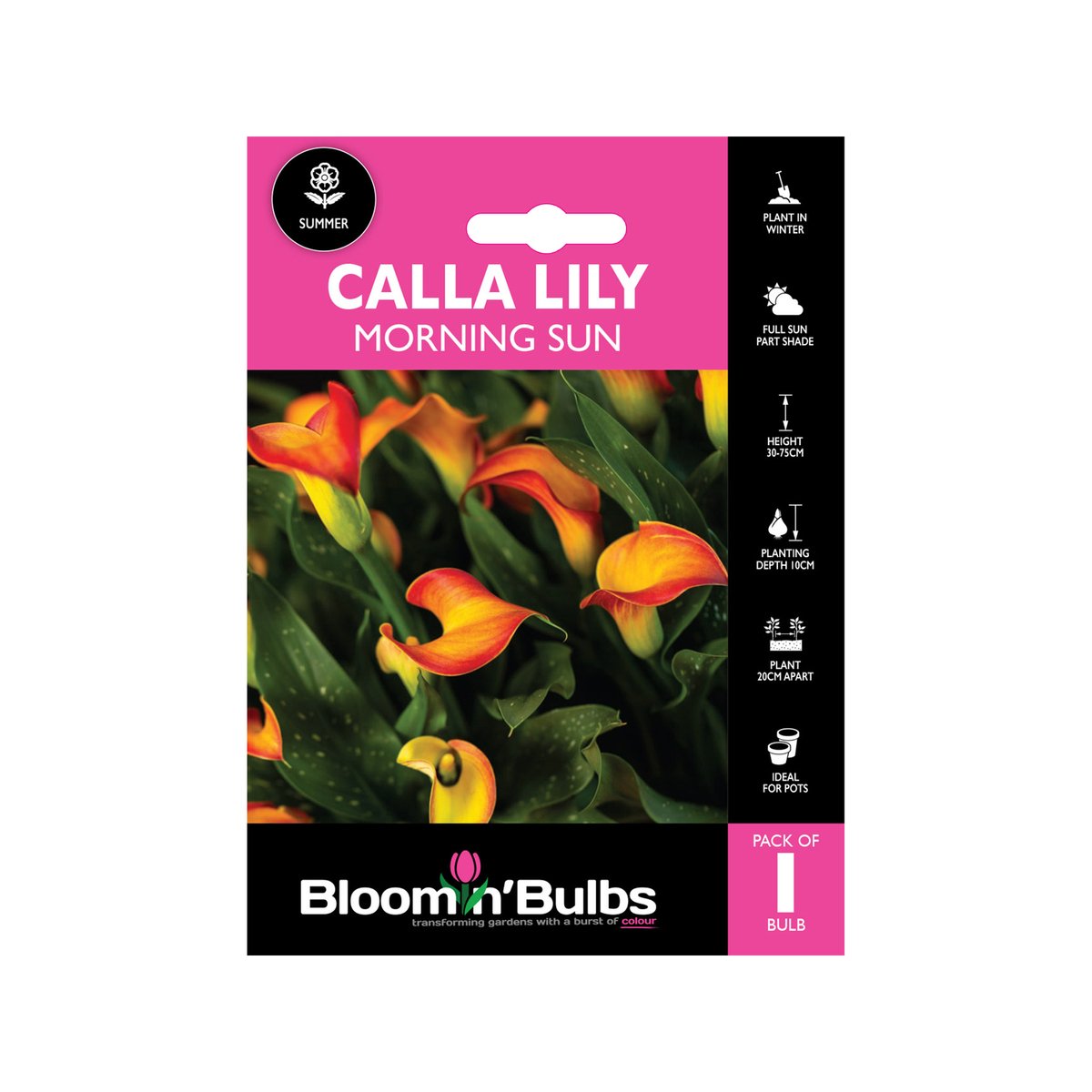 Bloomin' Bulbs Calla Lily Morning Sun 1pk - Bunnings Australia
