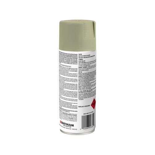 Rust-Oleum 340g Tate Green Ultra-Matt Chalked Spray Paint - Bunnings ...