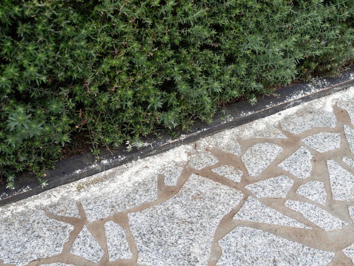 How To Get Rid Of Ants - Bunnings Australia