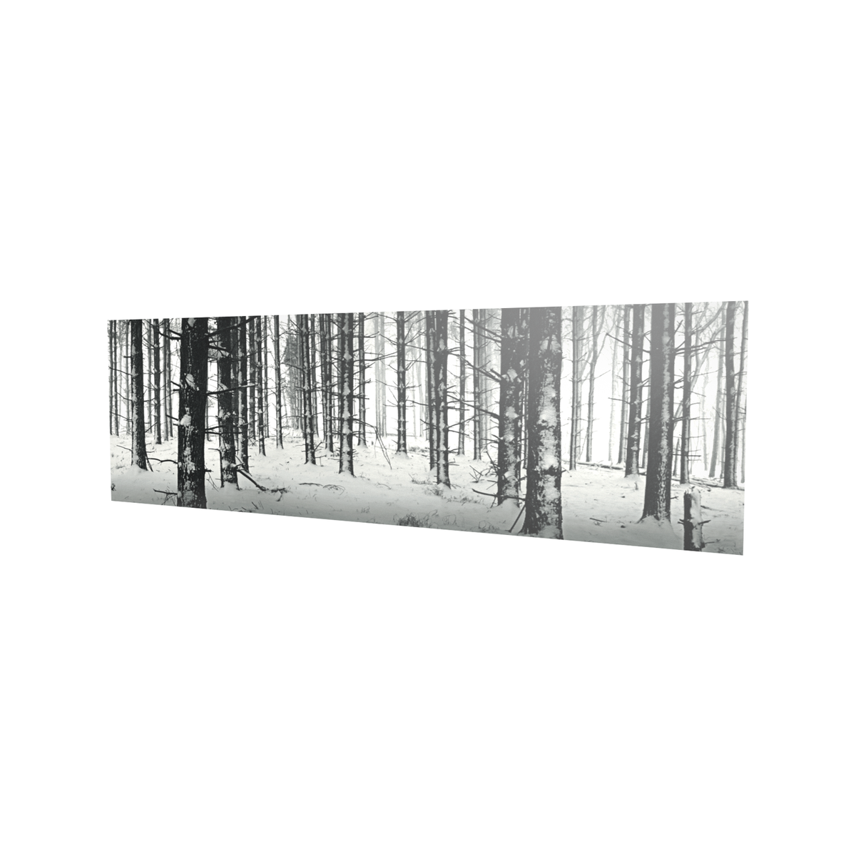 Bellessi 650mm x 895mm x 5mm Motiv Glass Filler Panel - Winter Forest ...