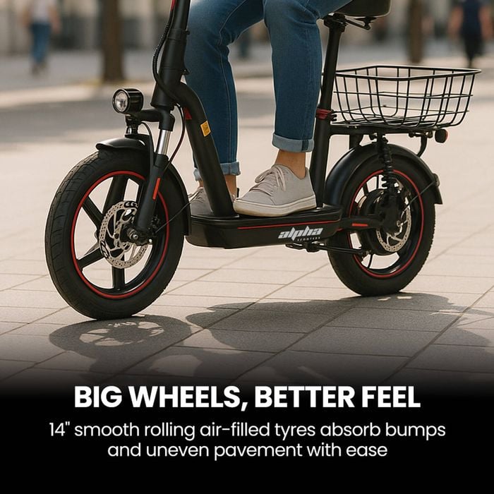 ALPHA Rover Electric Scooter with Seat, 500W 48V 25km/h 30km Range, 14 ...