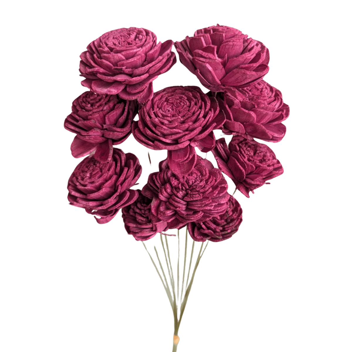 Blooms Of Joy 30cm Wine Sola Rose Flowers - Bunnings Australia