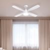 Arlec 120cm White Matte AER 4 Blade DC Ceiling Fan With LED Light ...