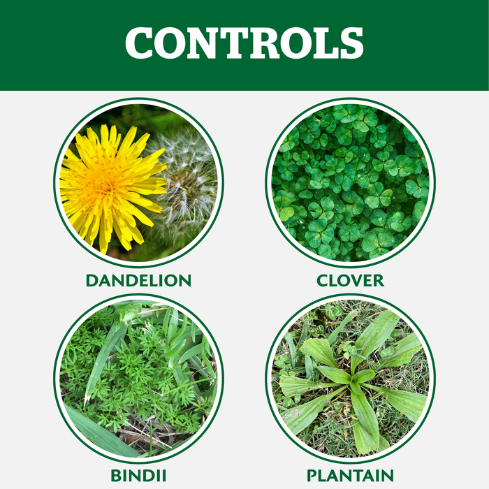 Yates 700ml Click And Grow Bindii And Clover Lawn Weed Killer ...