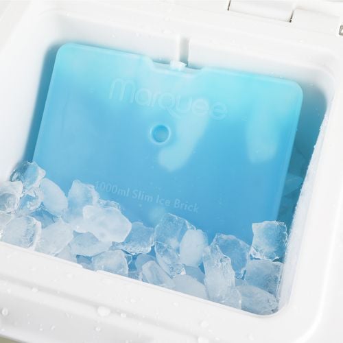 Marquee Large Slim Ice Brick - Twin Pack - Bunnings Australia