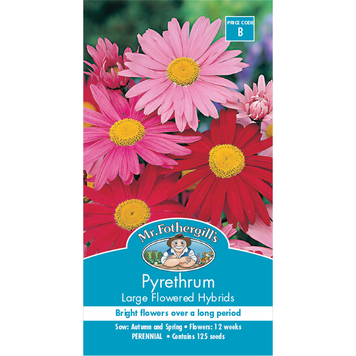 Mr Fothergill's Pyrethrum Large Flower Seeds - Bunnings Australia