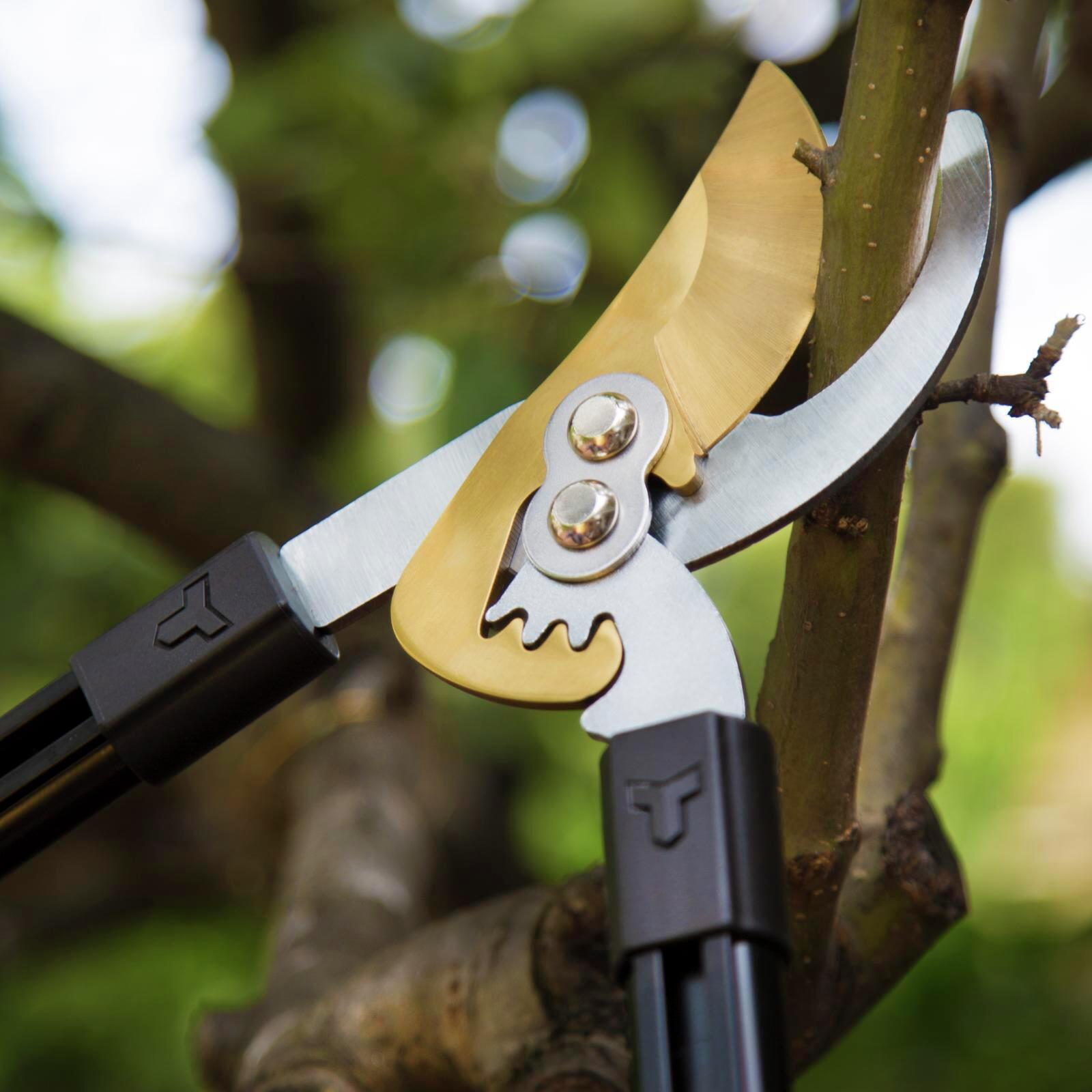 Trojan Geared Telescopic Bypass Lopper Bunnings Australia