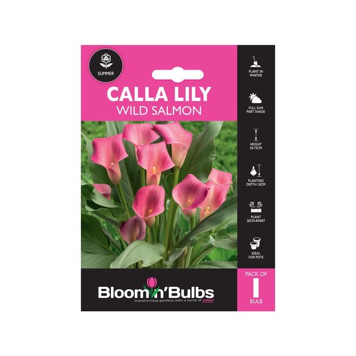 Bloomin' Bulbs Summer Pink Calla Lily Wild Salmon - 1 Pack - Bunnings ...