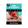 Bloomin' Bulbs Summer Produce Aqua Pack Strawberry Tioga - 4 Pack ...