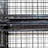 Rapid 900 x 940 x 1800mm Wire Mesh Storage Locker - Bunnings Australia