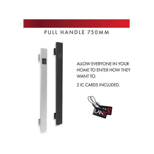 Lane Black Matte Grande Electronic Pull Handle - Bunnings Australia