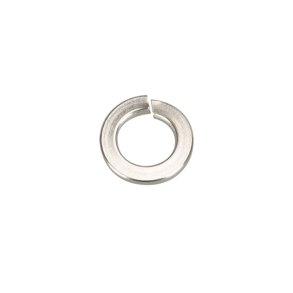 Pinnacle M10 Stainless Steel Spring Washer - 6 Pack - Bunnings New Zealand