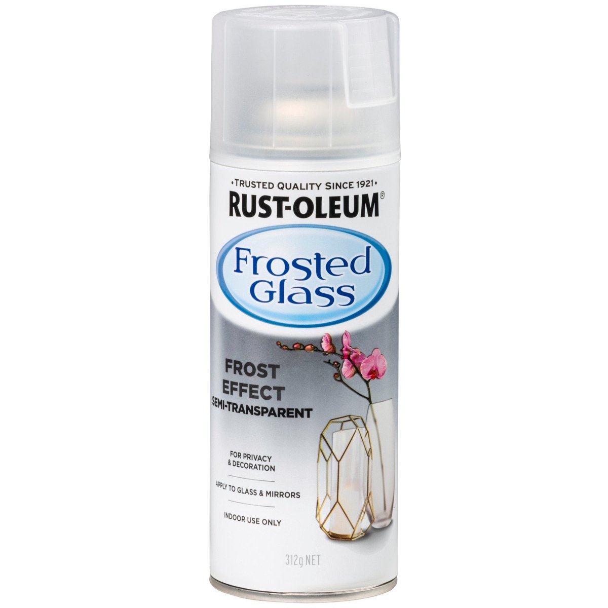 Rust-Oleum 312g Frosted Glass Specialty Spray Paint - Bunnings New Zealand