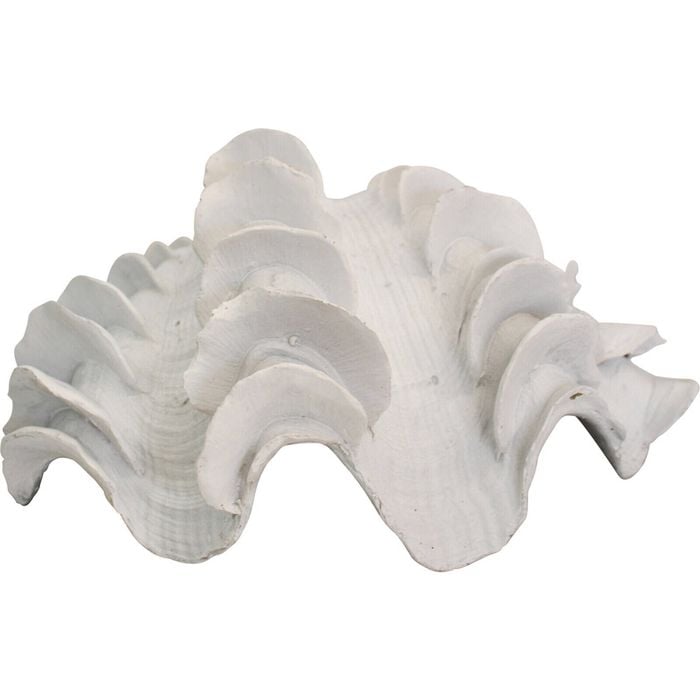 LVD Decorative 23.5cm Resin Clam Shell/Trinket Medium - White/Silver ...