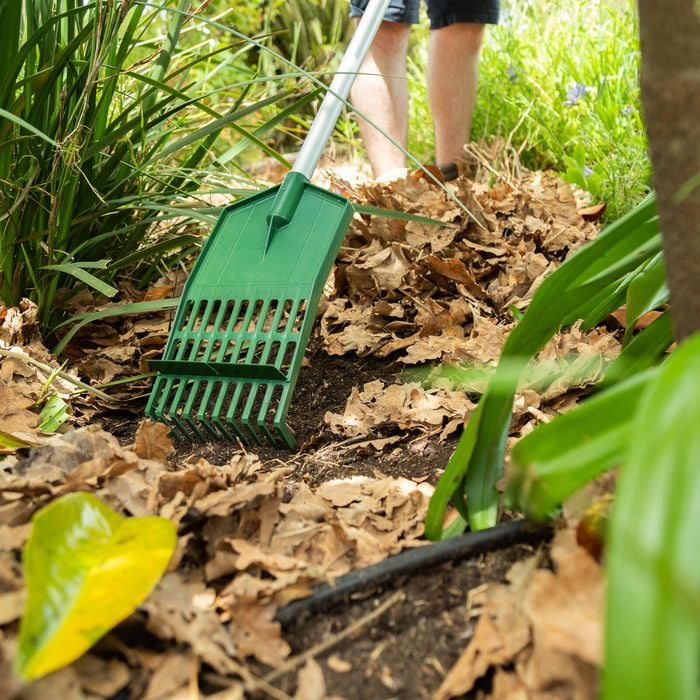 Cyclone Shrub Rake - Bunnings Australia