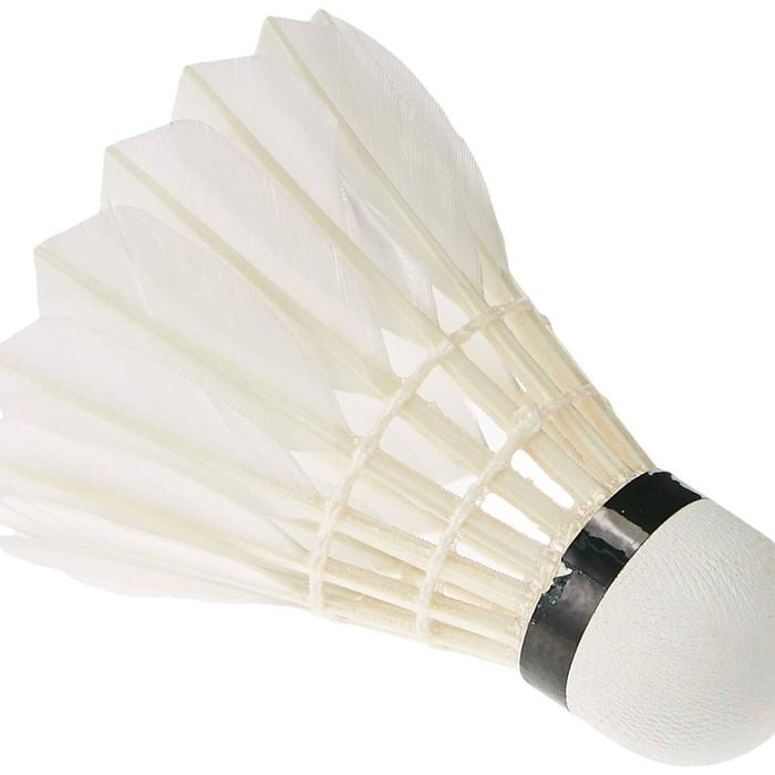 Li-Ning SG-Gold Duck-Feathers Shuttlecock, White, 76 Speed - Bunnings ...