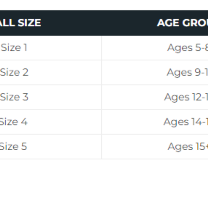 Brisbane Lions AFL Size 5 Camo Synthetic Footy Football - Bunnings ...