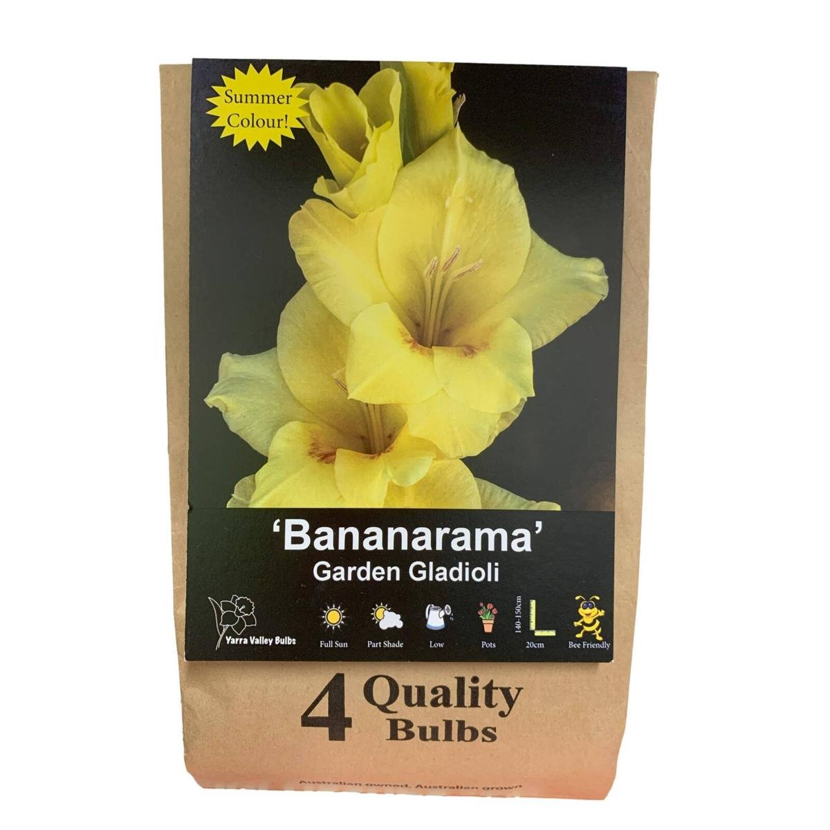 Yarra Valley Bulbs Gladioli Bananarama Bulb 4 Pack - Bunnings Australia