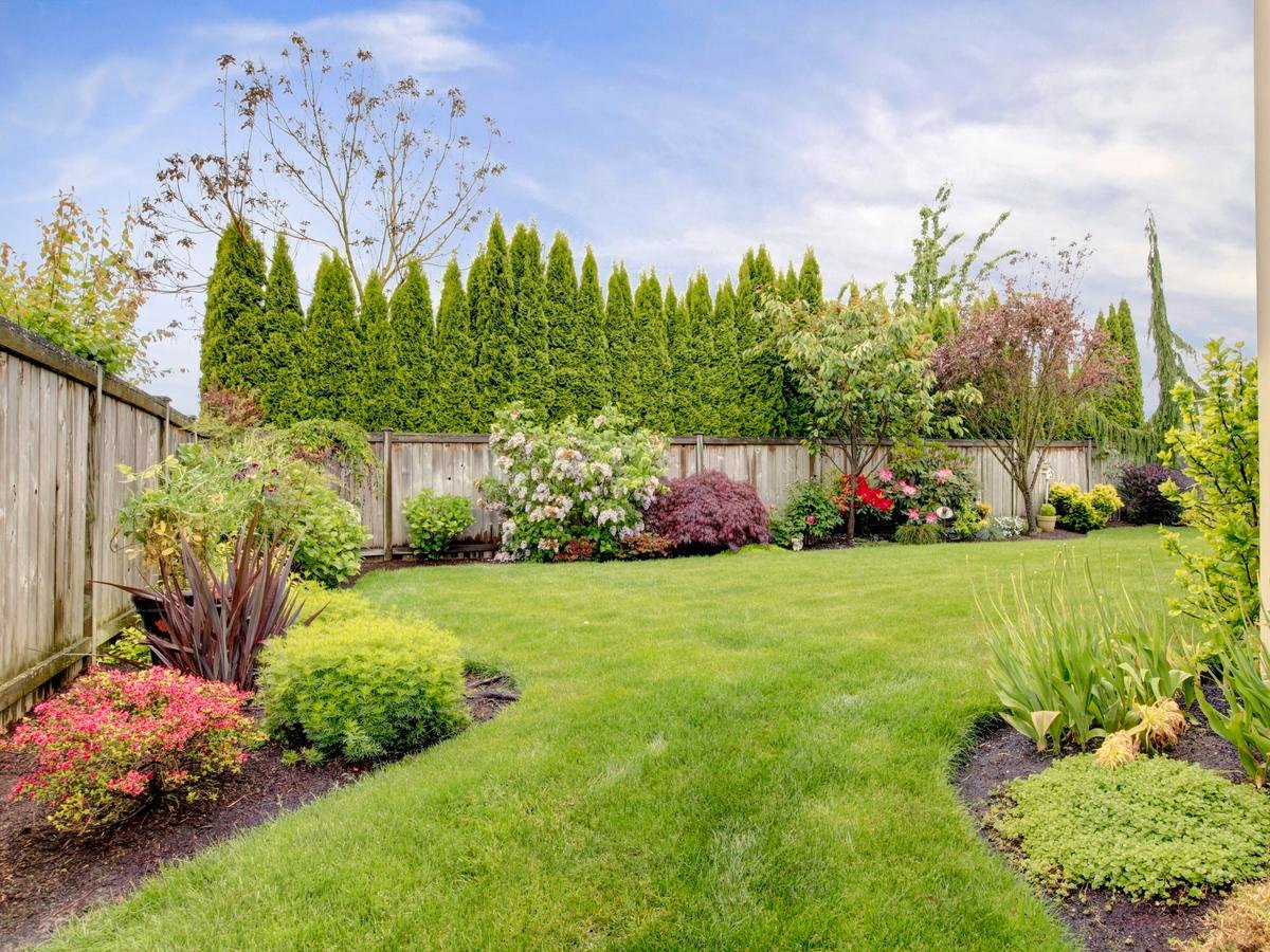 A Guide To Turf Preparation Ahead Of Summer - Bunnings Trade AU